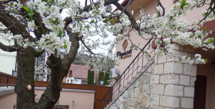 Pogácsás Apartman - Tokaj