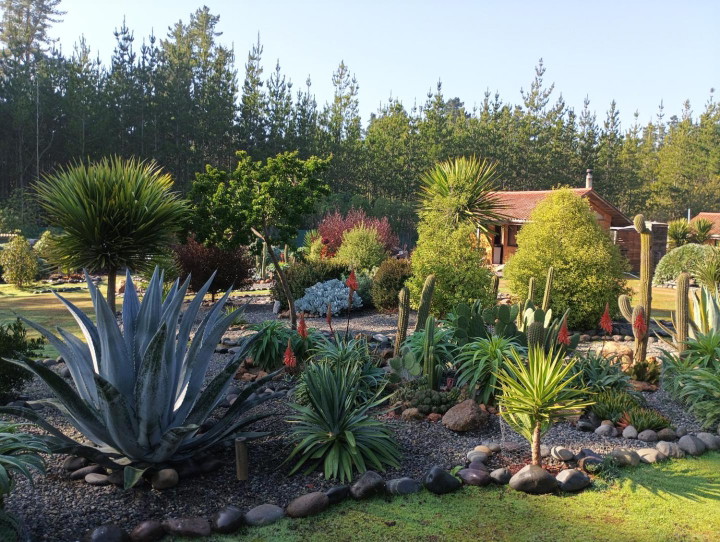 Eco Cabañas Algarrobo - Algarrobo