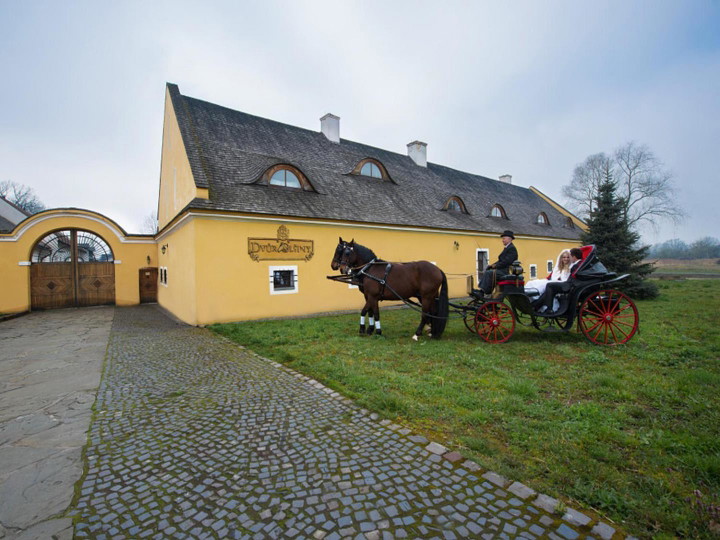 Dvůr Olšiny -Hotel And Horse-riding - Tchéquie