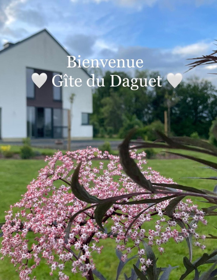 Le Daguet - Florenville