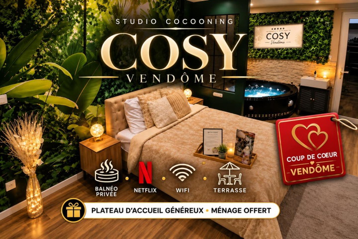 "Cosy Vendôme" - Studio Relaxant Avec Balnéo - Vendôme