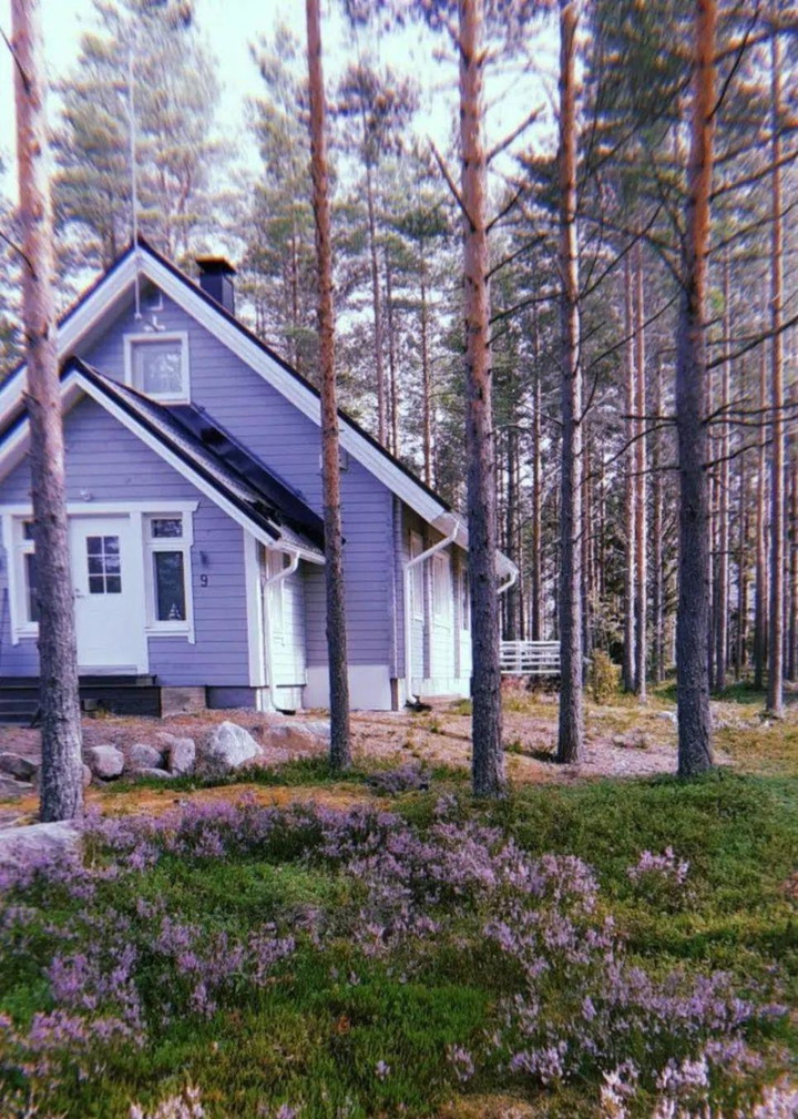 Villa - Suomi