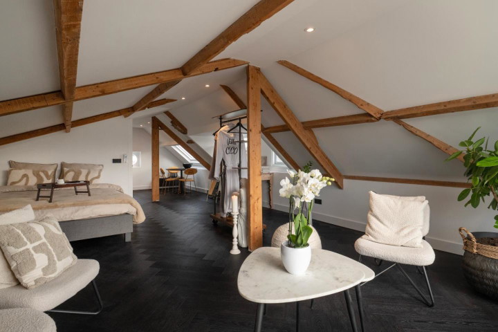 Villa Coco Aphrodite Apartment - Wassenaar