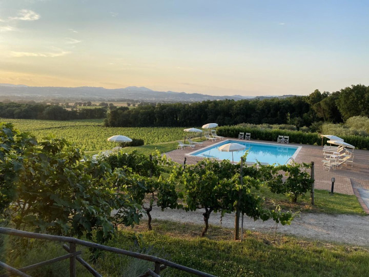 Poggio Alle Vigne - Perugia