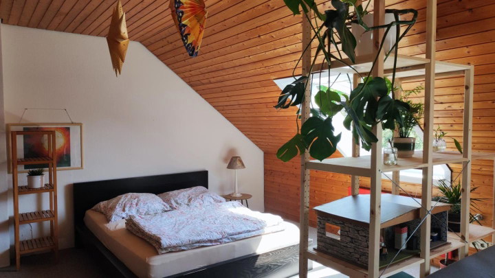 Big Cozy Entire Family Appartment - Hanover