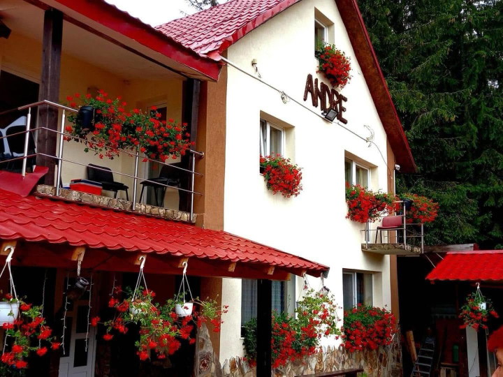Cabana Andre Vartop - Arad
