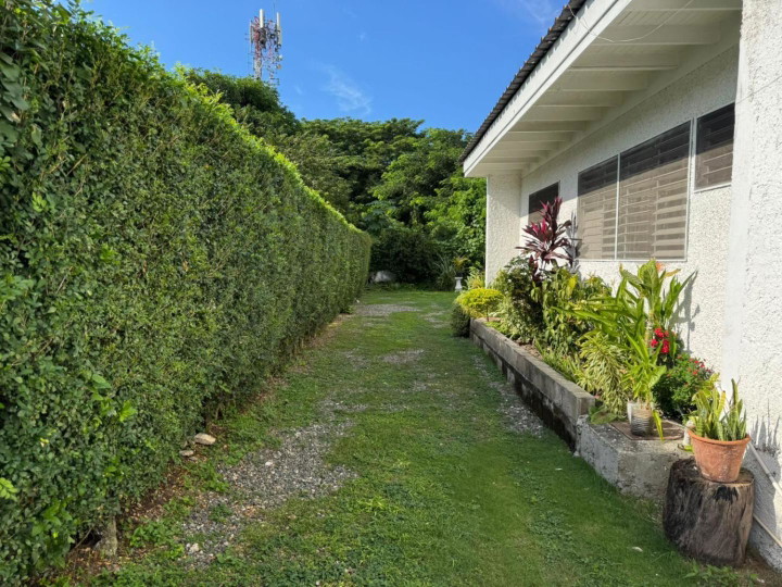Shalom Suite 2, Manor Park - Jamaica