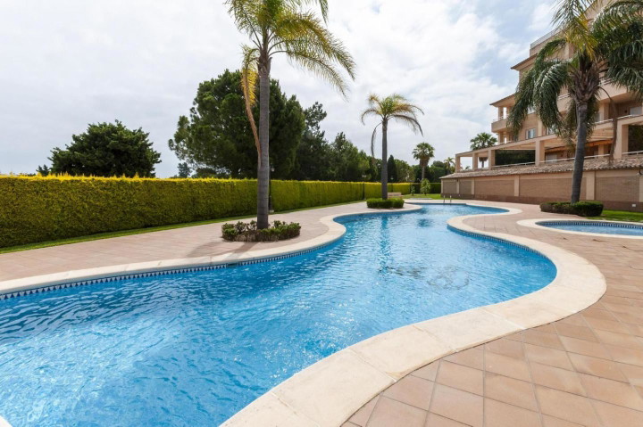 Buganvilla - Oliva