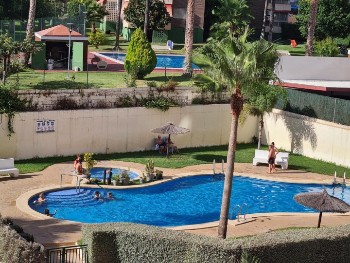 Apartamento Marina Sedavi If Benidorm - Benidorm