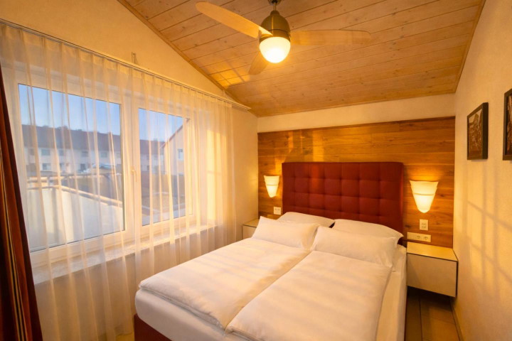Villa Viktoria 2 - Apartments - Ingolstadt