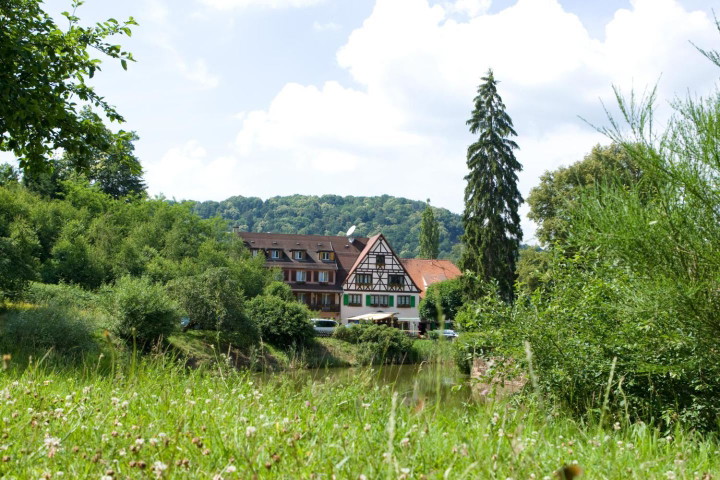 Logis Hôtel-restaurant Auberge D'imsthal - Alsace