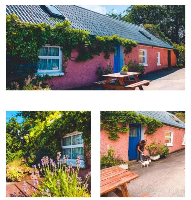 Wisteria Cottage - Leinster