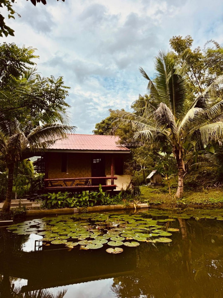 The House Cafe Pai - Mae Hong Son