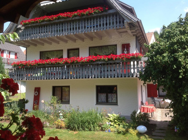 Ferienwohnung Pusteblume - Alpirsbach
