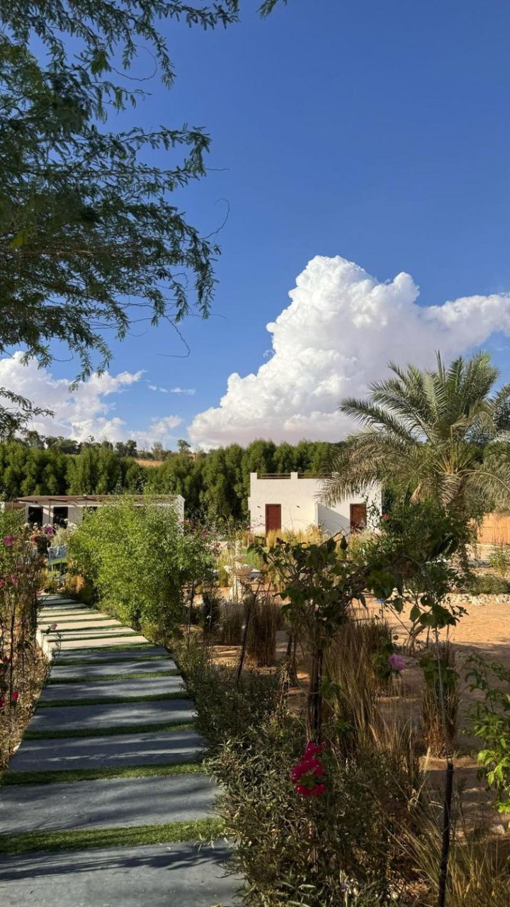 Damas Resort - 阿拉伯聯合大公國