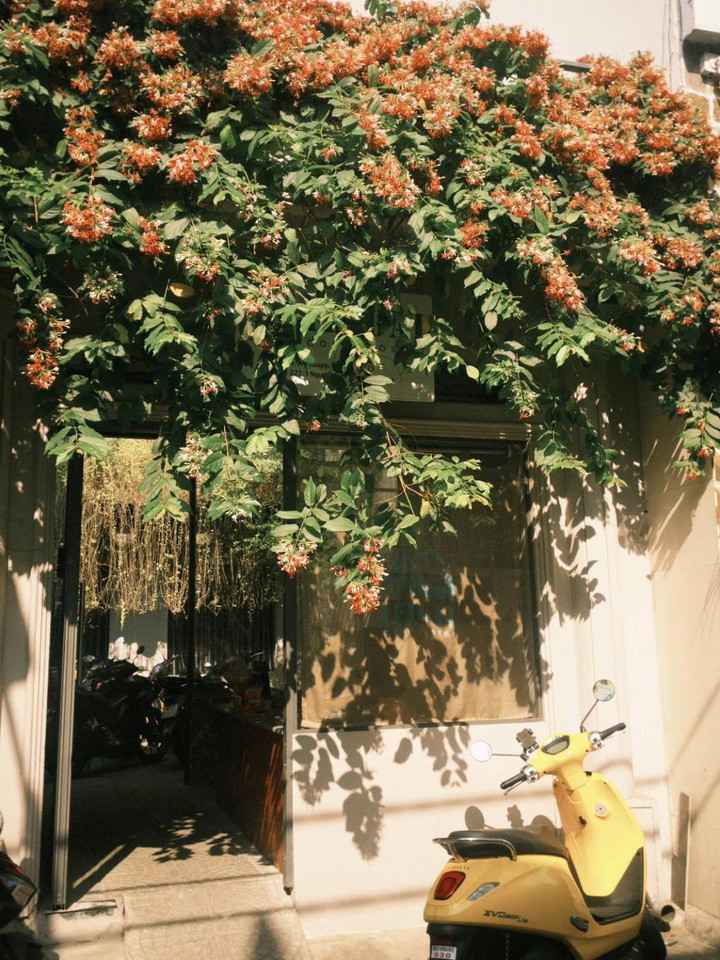 Ikigai Dorm Hostel - Danang Beach - Đà Nẵng