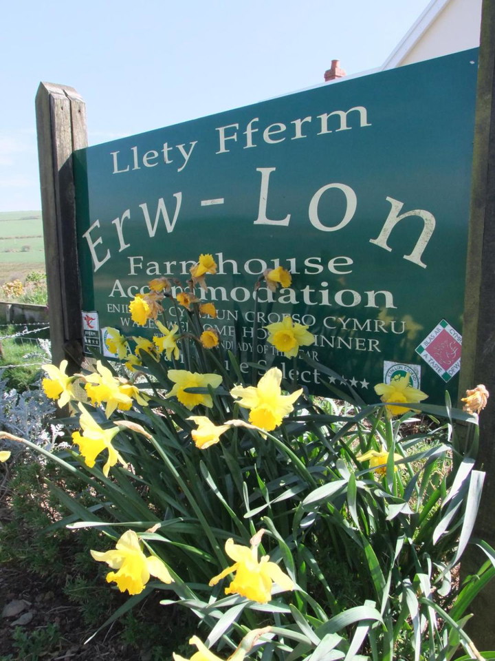 Erw-lon Farm - Pembrokeshire