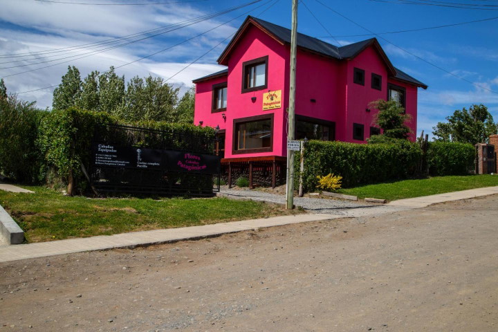 Flores Patagonicas Departamentos - El Calafate