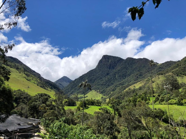 Cabañas Valle Del Cocora La Truchera - Risaralda
