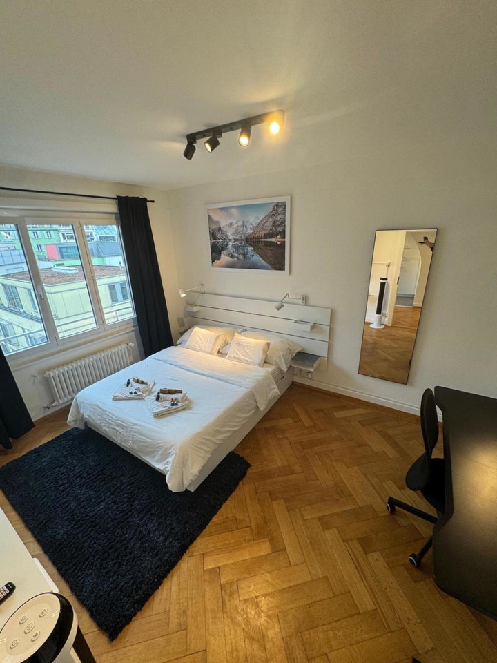 Cosy Studio In Lausanne Flon - Lausanne