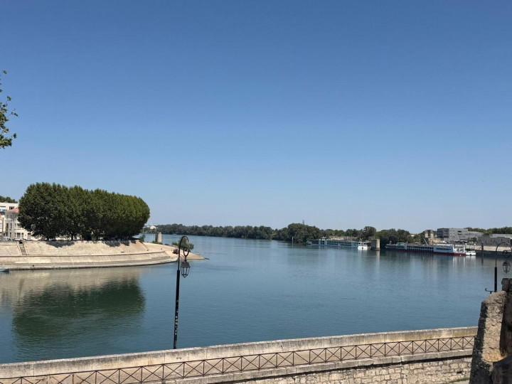 La Vue Du Rhône - Camargue