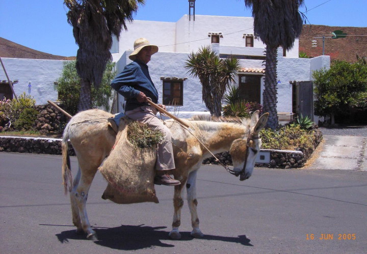 Finca Lanzarosy - Costa Teguise