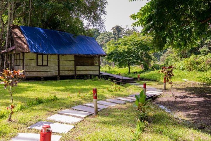 The Forest Elephant - Formerly Known As The Flying Elephant - Havelock island (Swaraj Dweep)