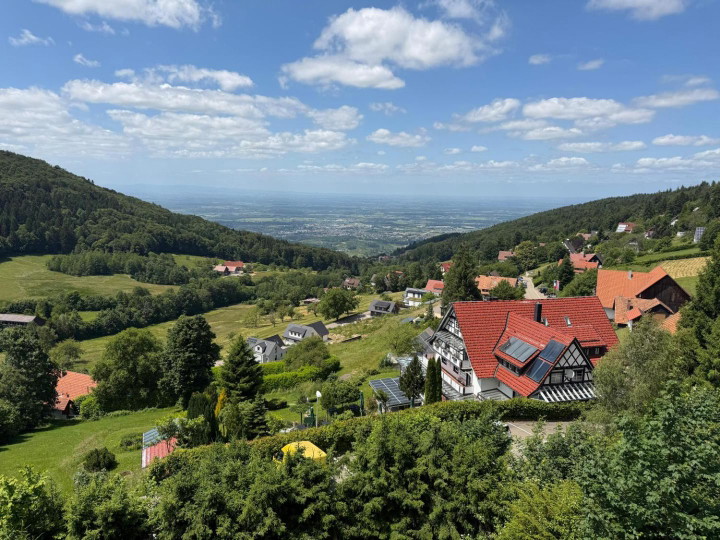 Berghof Grüner Baum - Durbach
