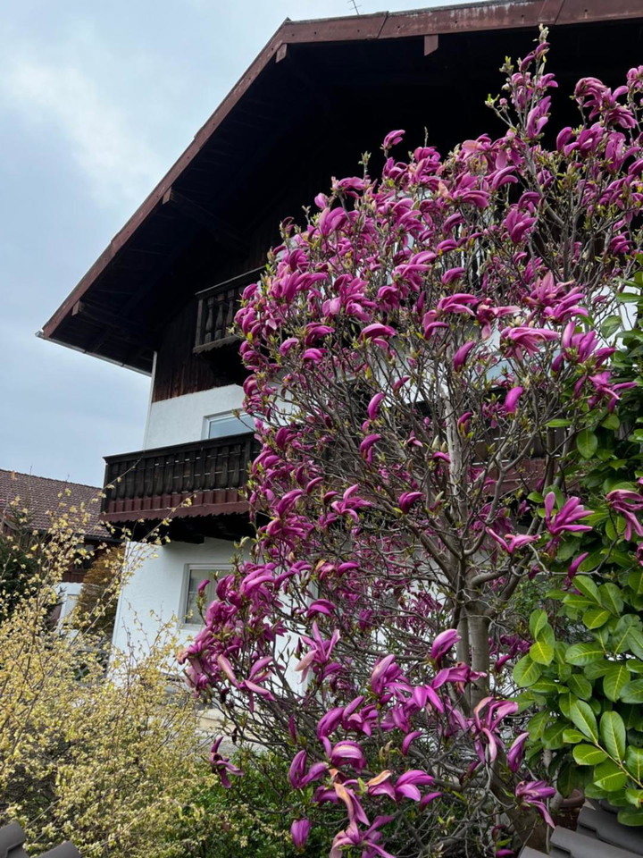 Privathaus Sieglinde - Chiemsee