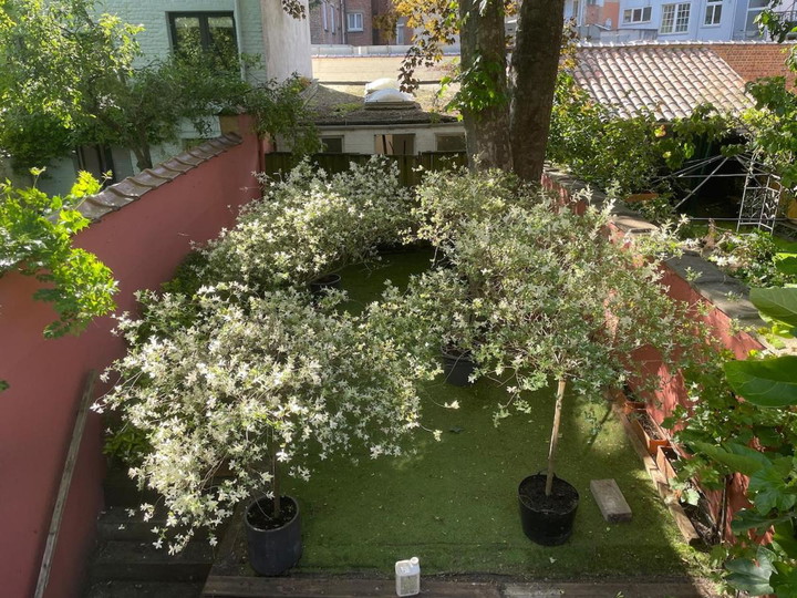 Le Flagey Green Place - Etterbeek
