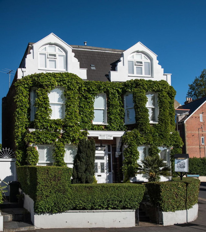 Marple Cottage Guest House - Surbiton