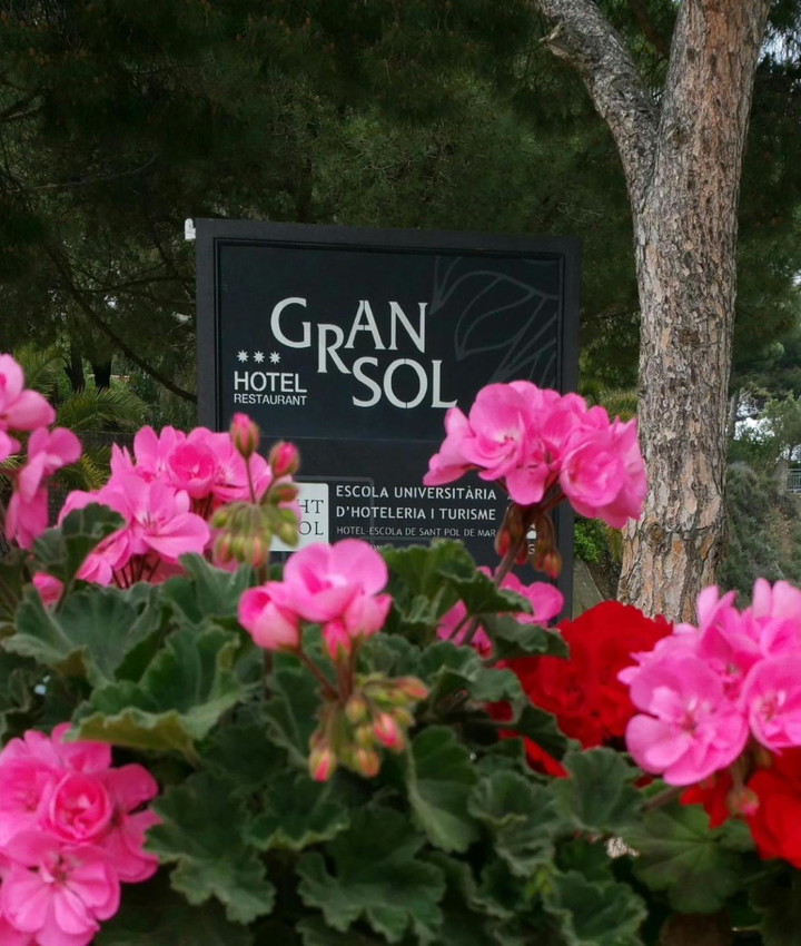 Gran Sol Hotel - Calella