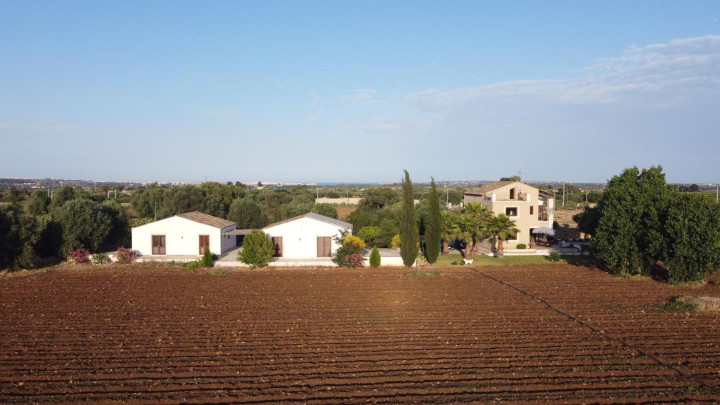 Orecchie Di Lepre - Floridia