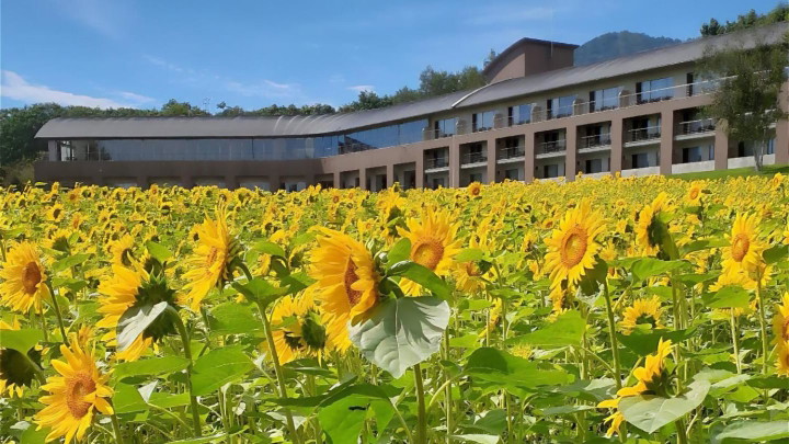 Furano Hotel 富良野ホテル - Furano