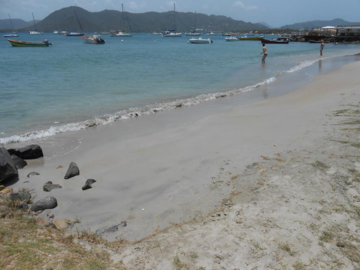 Entre Mer Et Verdure - Martinique