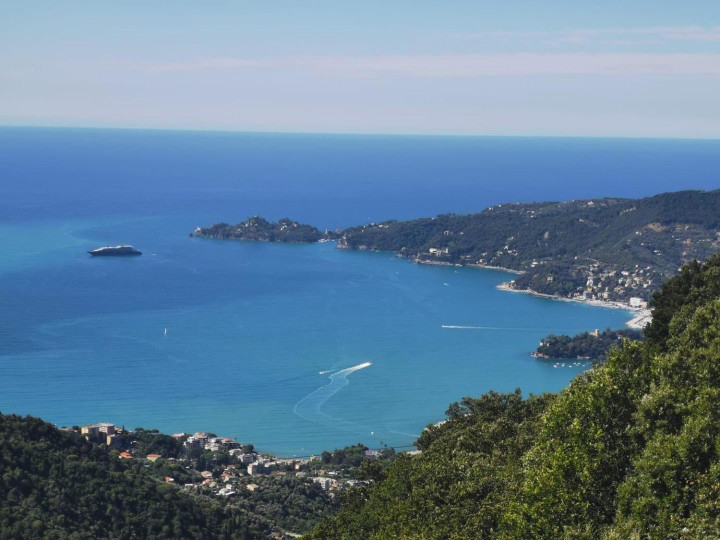 Hotel Montallegro - Chiavari