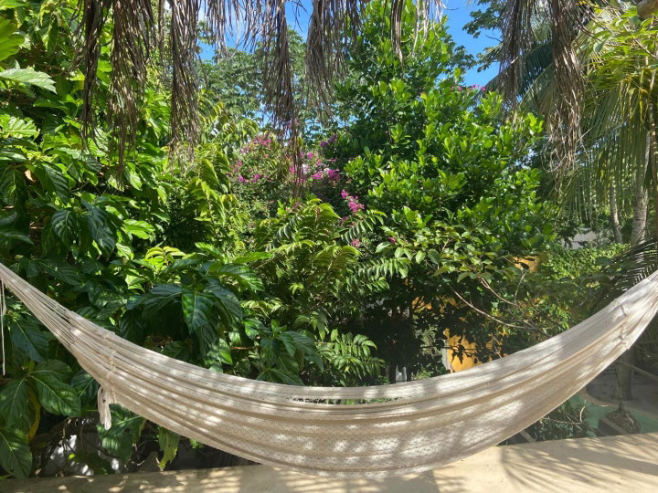 Quinta Salamandra - Riviera Maya
