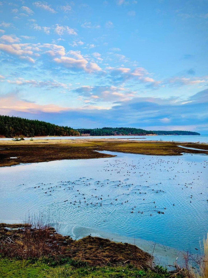 Beautiful Oceanview Retreat 2 Bedroom Home - Whidbey Island, WA