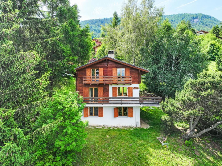 Chalet Les Etoiles By Interhome - Nendaz