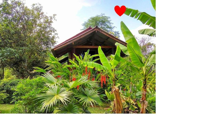 Pencave Homestay - Mae Hong Son