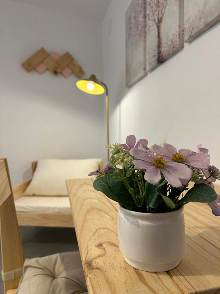 Apartamentos El Búho - Belmonte