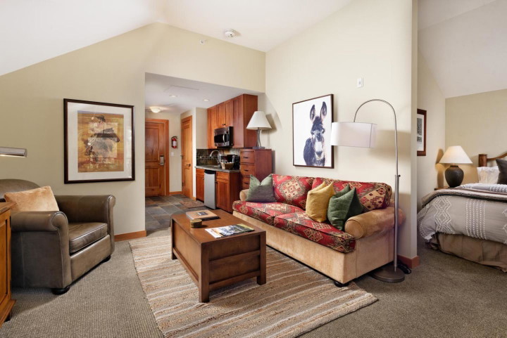 Elk Camp Cove Capitol Peak Lodge #3513 - Aspen