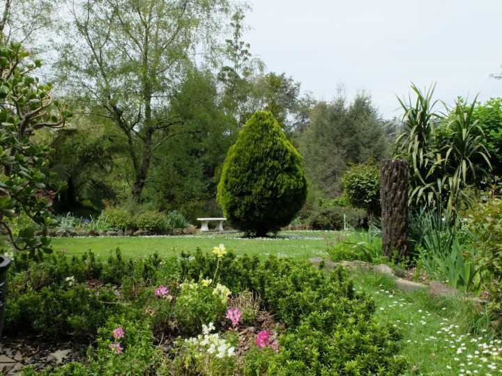Braeside Bliss - Melbourne