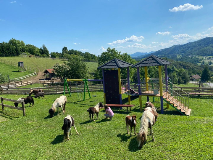Apartments Laura Farm Stay - Slovenia