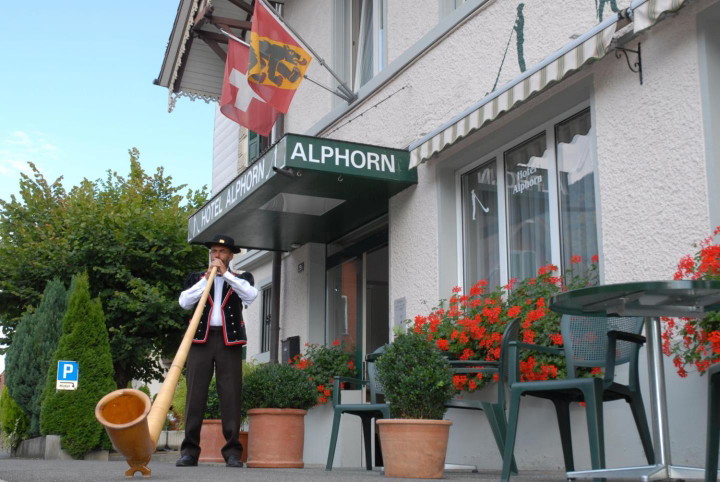 Hotel Alphorn - Wilderswil