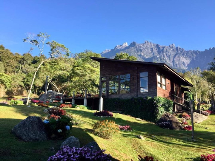 Spring Garden - Kundasang