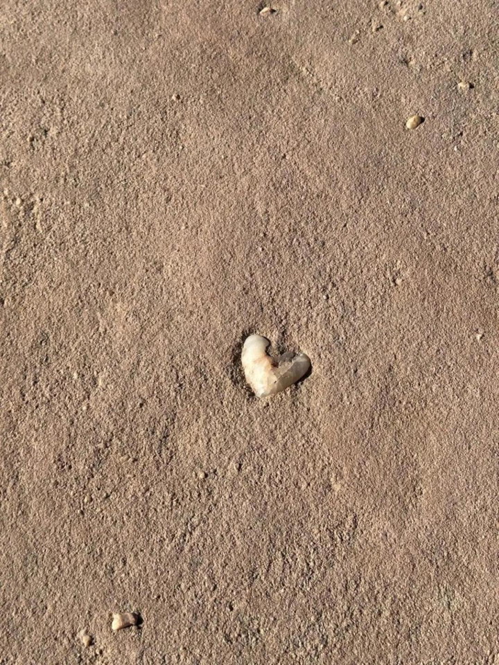 Wadi Rum Astraya - Aqaba