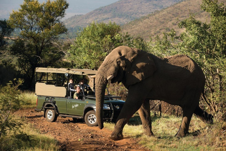 Kwa Maritane Lodge - Sun City