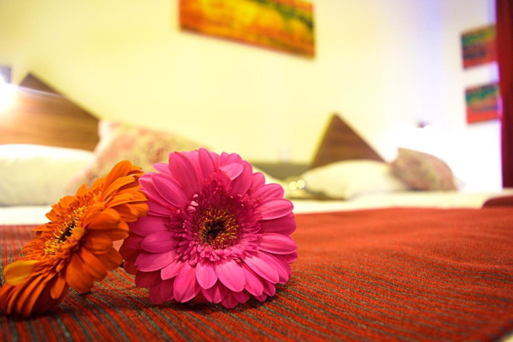 Astro Inn Hotel Express - Xalapa