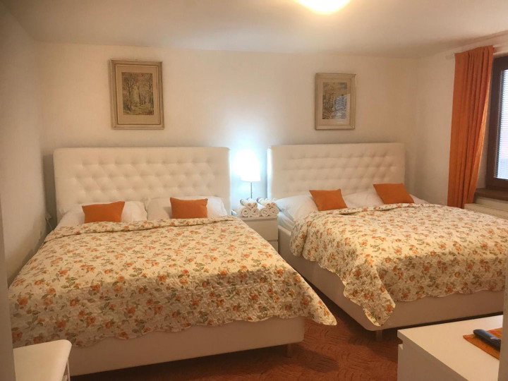Apartment Pod Lysou - Czechia